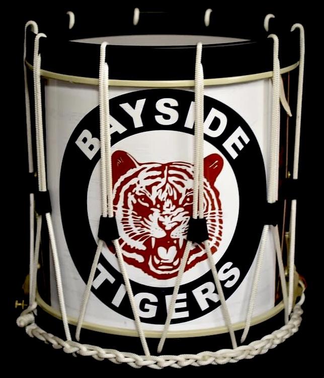 Educational Drums - Loyal Drums